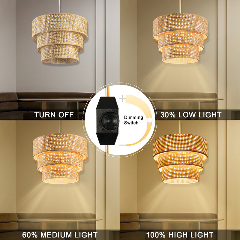 Mercer41 Rochell Diameter 12.2" Plug-in Pendant Light, Hanging Lamp with Dimmable, Hanging Light ...